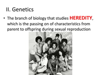 Mendelian genetics | PPTX | Genetics | Science
