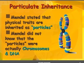 Mendelian Genetics | PPT
