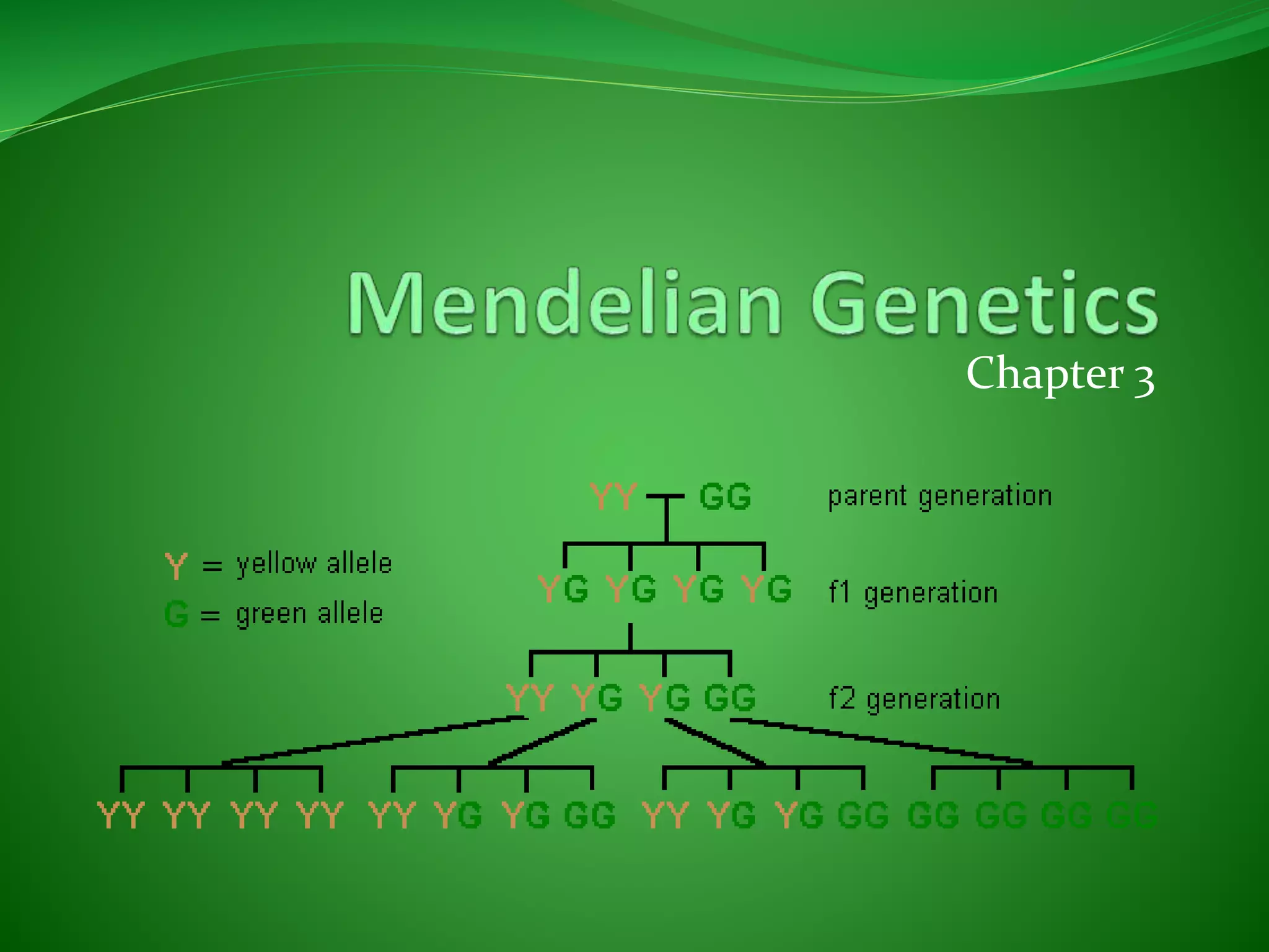 Mendelian Genetics | PPTX