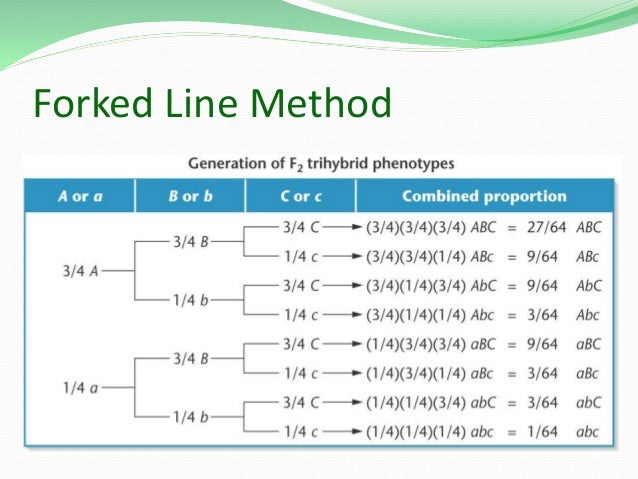 Mendelian Genetics