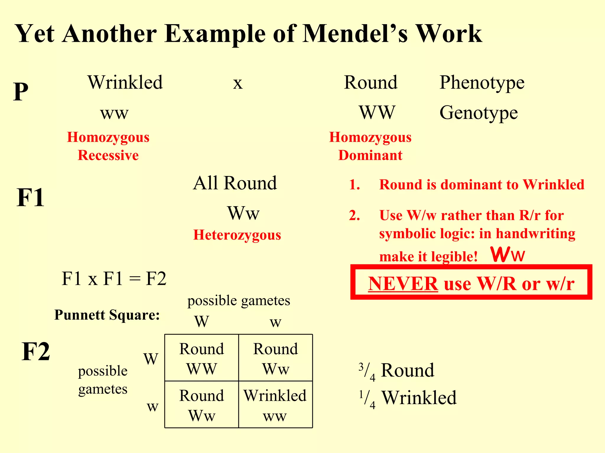 Mendelian genetics | PPT