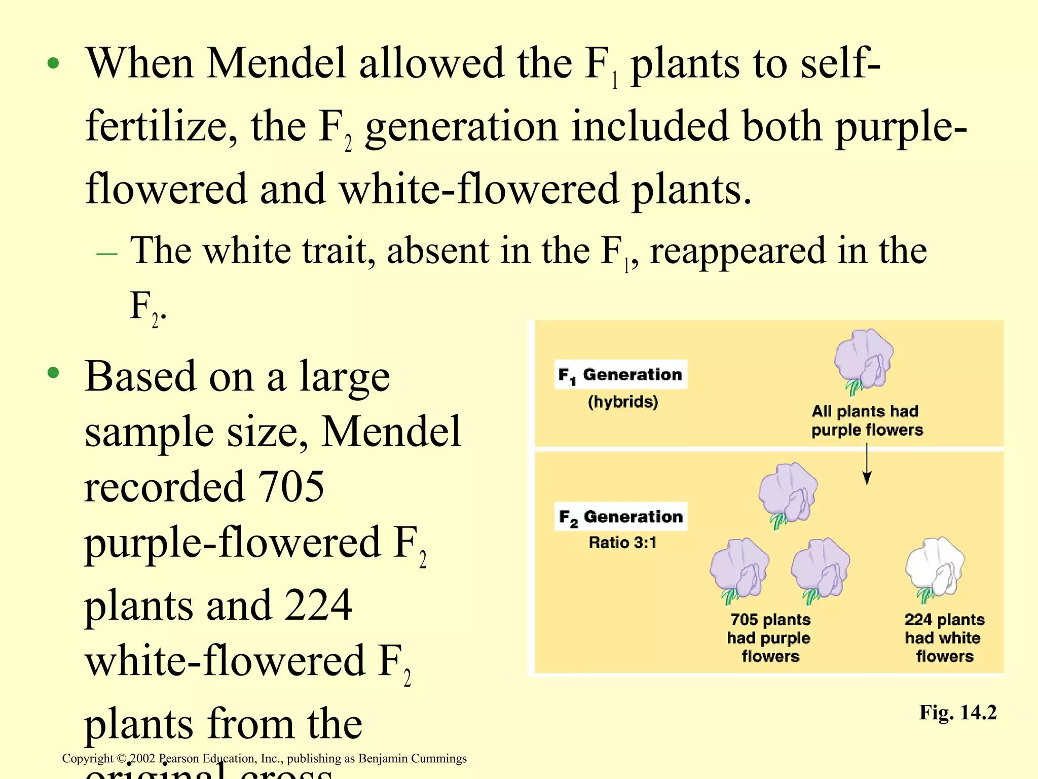 Mendelian genetics | PPT