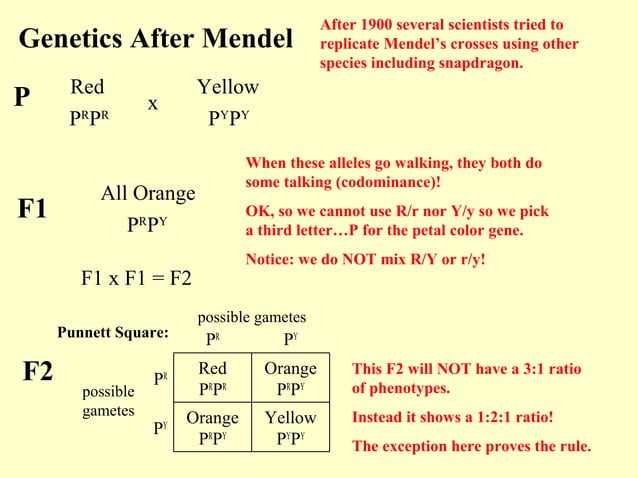Mendelian genetics | PPT