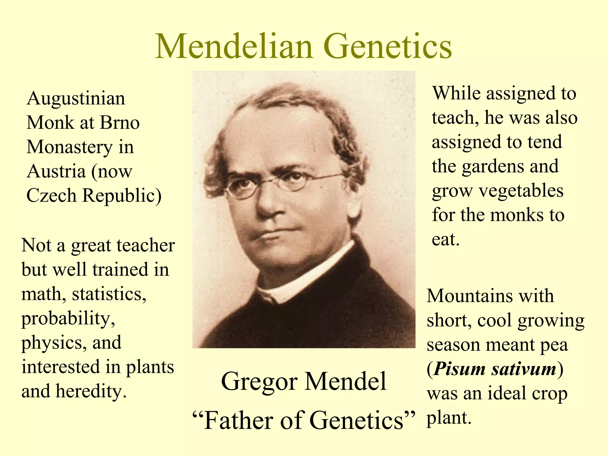 mendeliangenetics-171008120519 (1).pdf