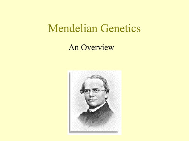 mendeliangenetics-171008120519 (1).pdf