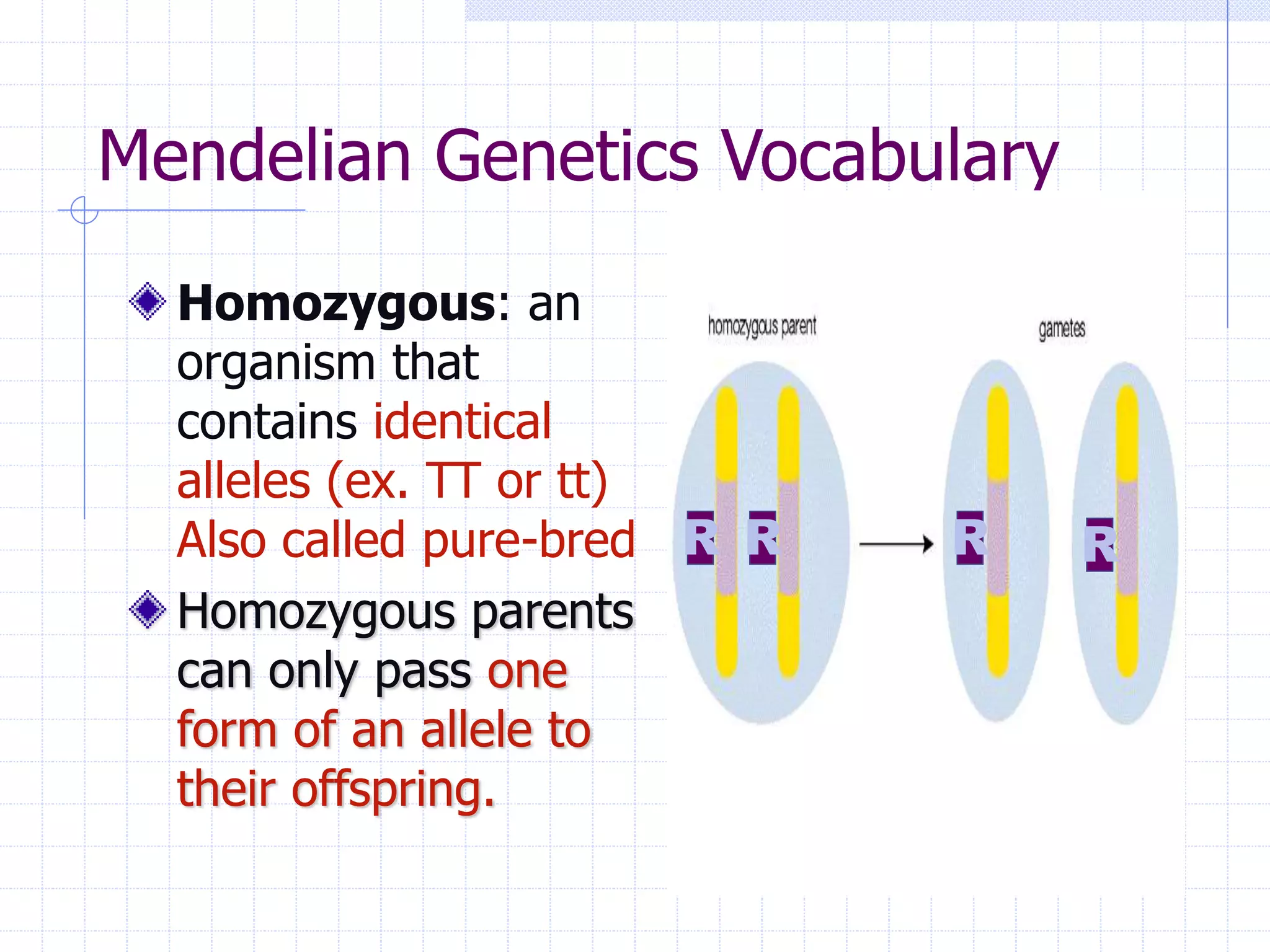 Mendelian genetics | PPT