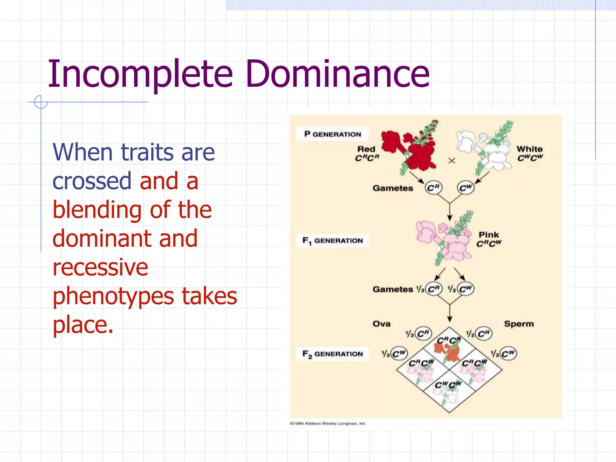 Mendelian genetics | PPT
