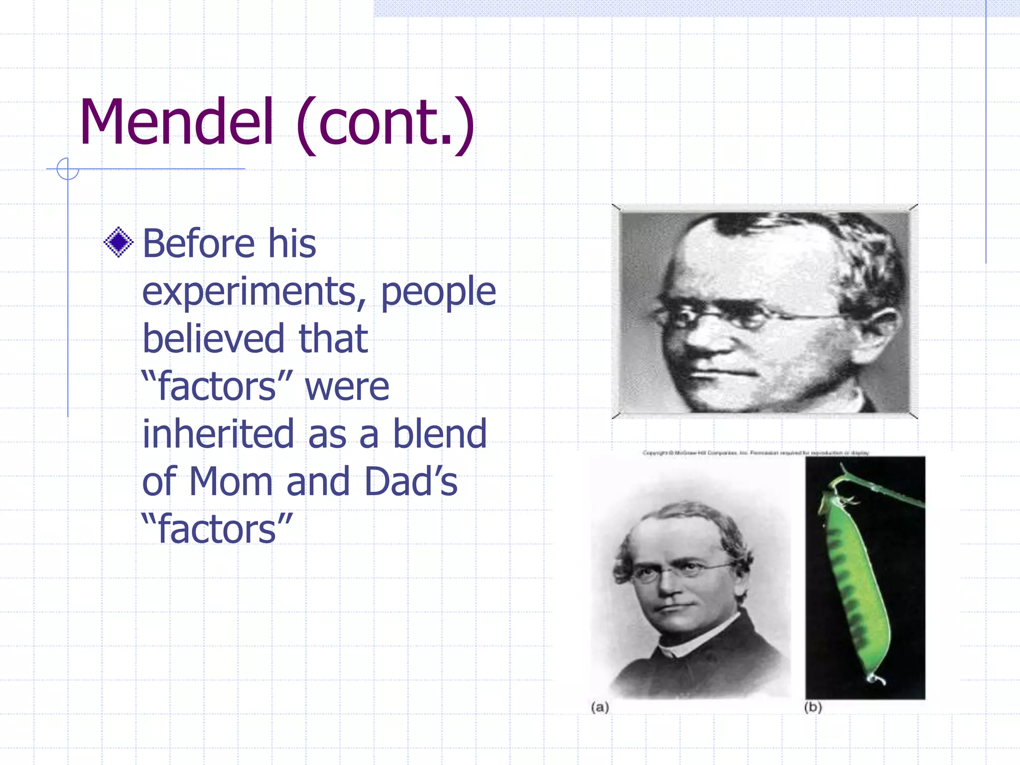 Mendelian genetics | PPT