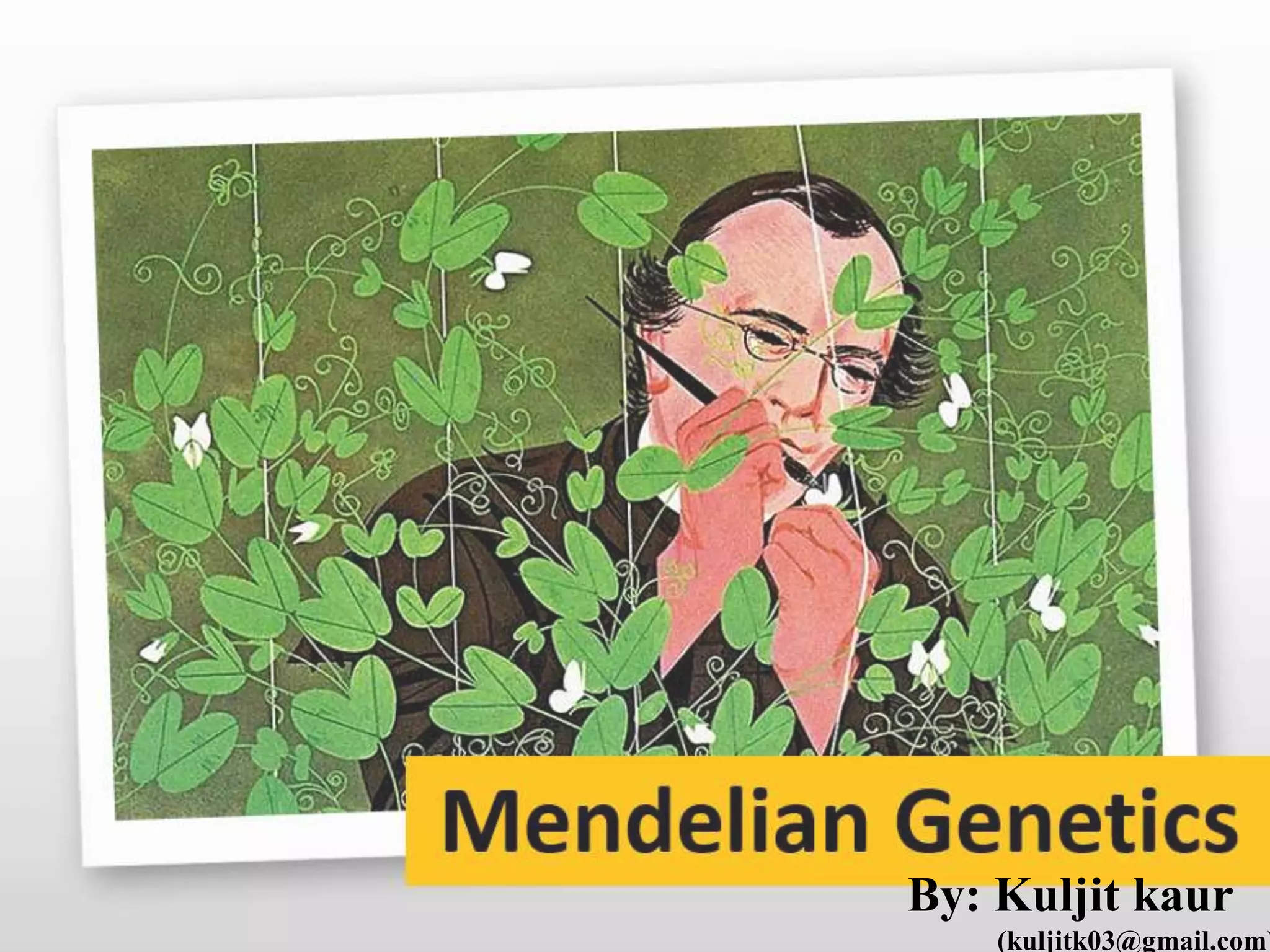 Mendelian genetics | PPTX