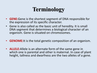 Mendelian genetics | PPTX | Gardening | Home & Garden