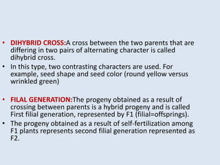 Mendelian genetics | PPTX | Gardening | Home & Garden