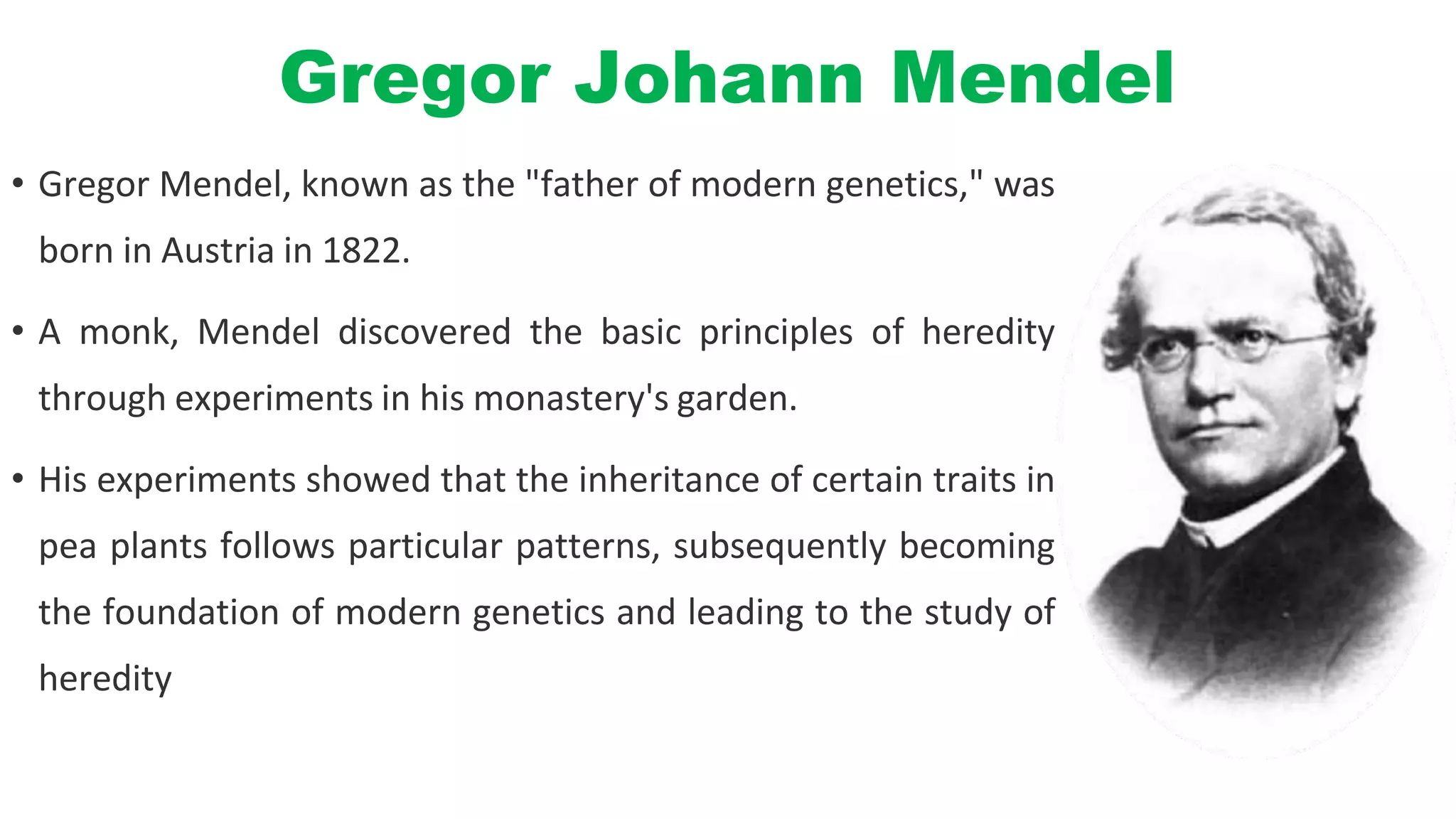 mendeliangenetics-200827064849.pptx | Gardening | Home & Garden