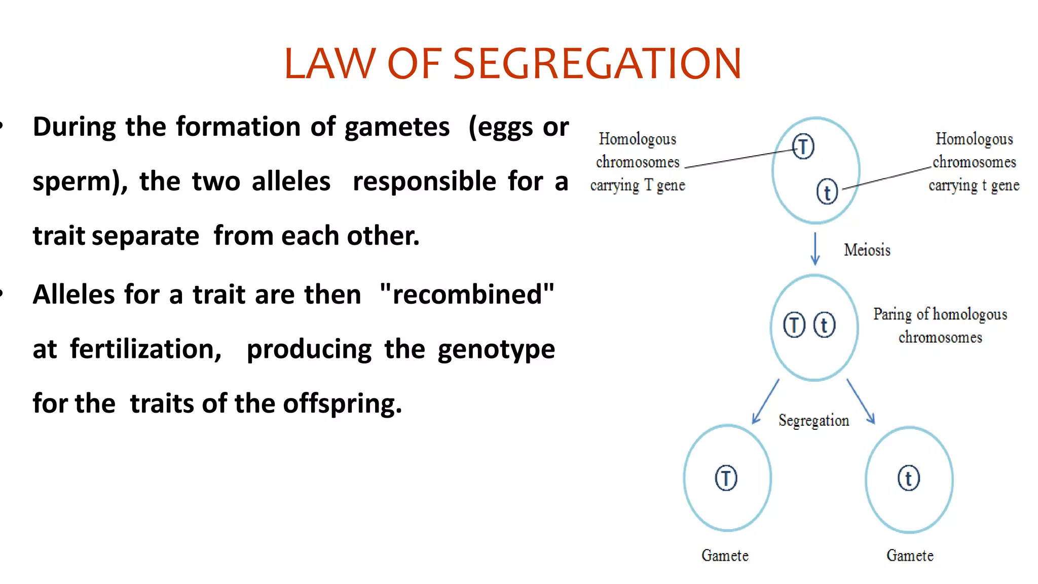 GENETIC TERMINOLOGY AND MENDELIAN GENETICS | PPTX