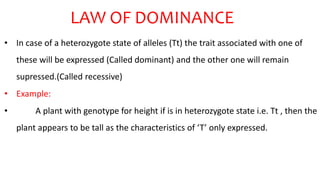 GENETIC TERMINOLOGY AND MENDELIAN GENETICS | PPTX