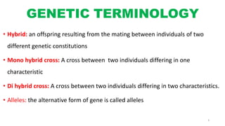 GENETIC TERMINOLOGY AND MENDELIAN GENETICS | PPTX