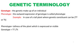 GENETIC TERMINOLOGY AND MENDELIAN GENETICS | PPTX