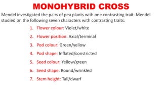 GENETIC TERMINOLOGY AND MENDELIAN GENETICS | PPTX