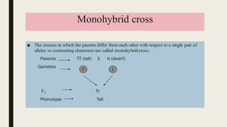 Mendelian genetics | PDF