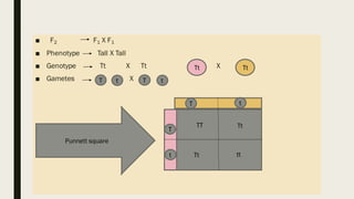 Mendelian genetics | PDF