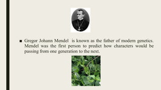 Mendelian genetics | PDF