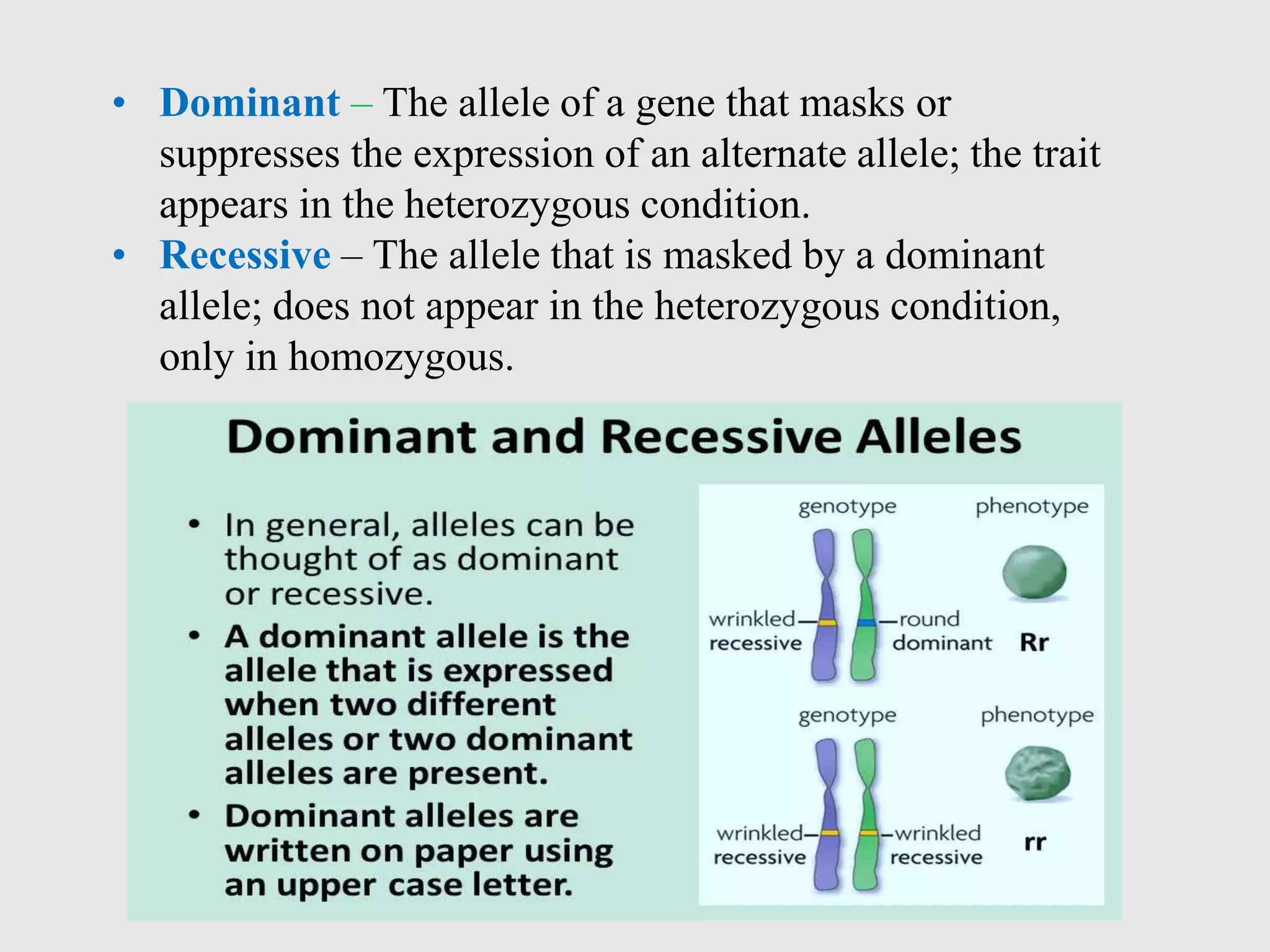 Mendelian genetics | PPT