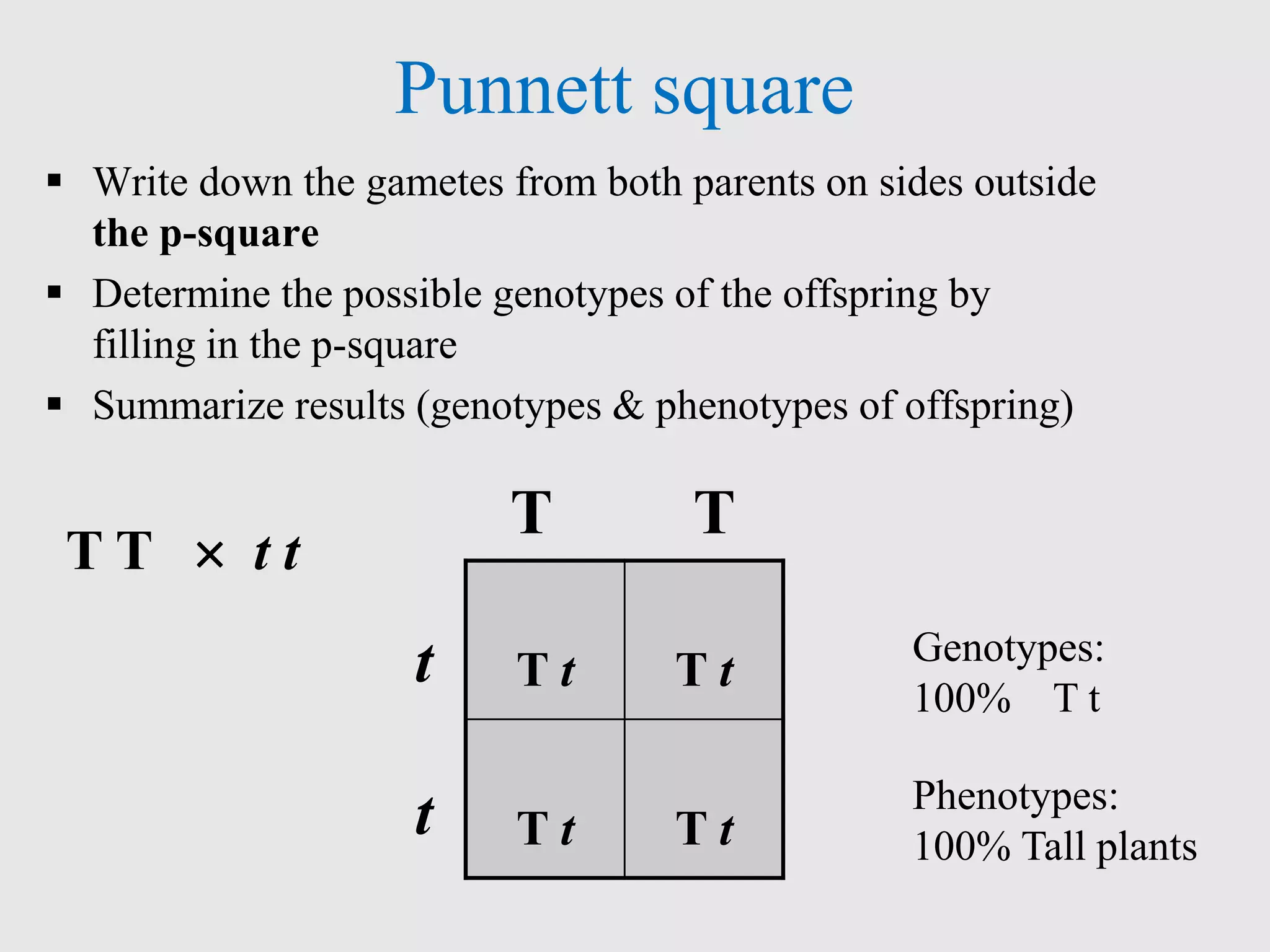 Mendelian genetics | PPT