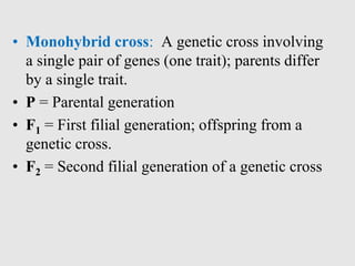 Mendelian genetics | PPT