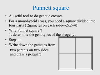 Mendelian genetics | PPT