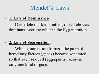 Mendelian genetics | PPT