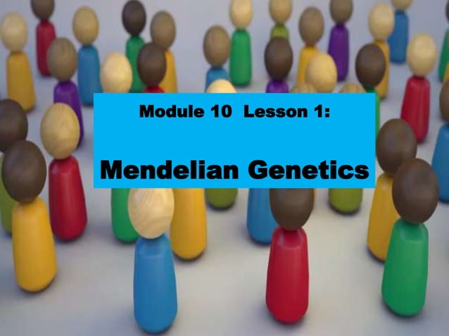 module 10 lesson 1: Mendelian Genetics.ppt | Gardening | Home & Garden