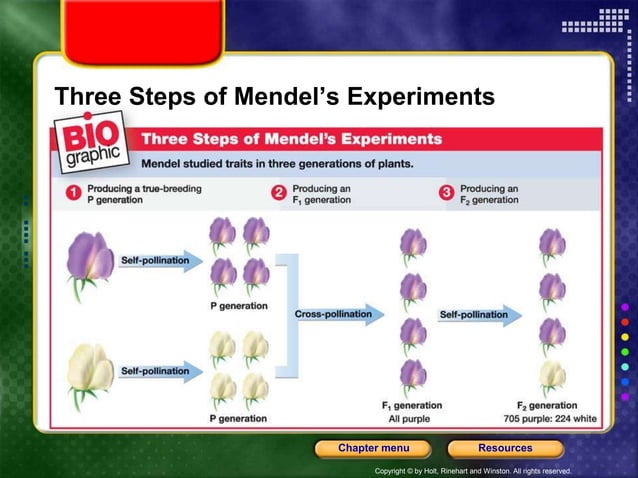 module 10 lesson 1: Mendelian Genetics.ppt | Gardening | Home & Garden