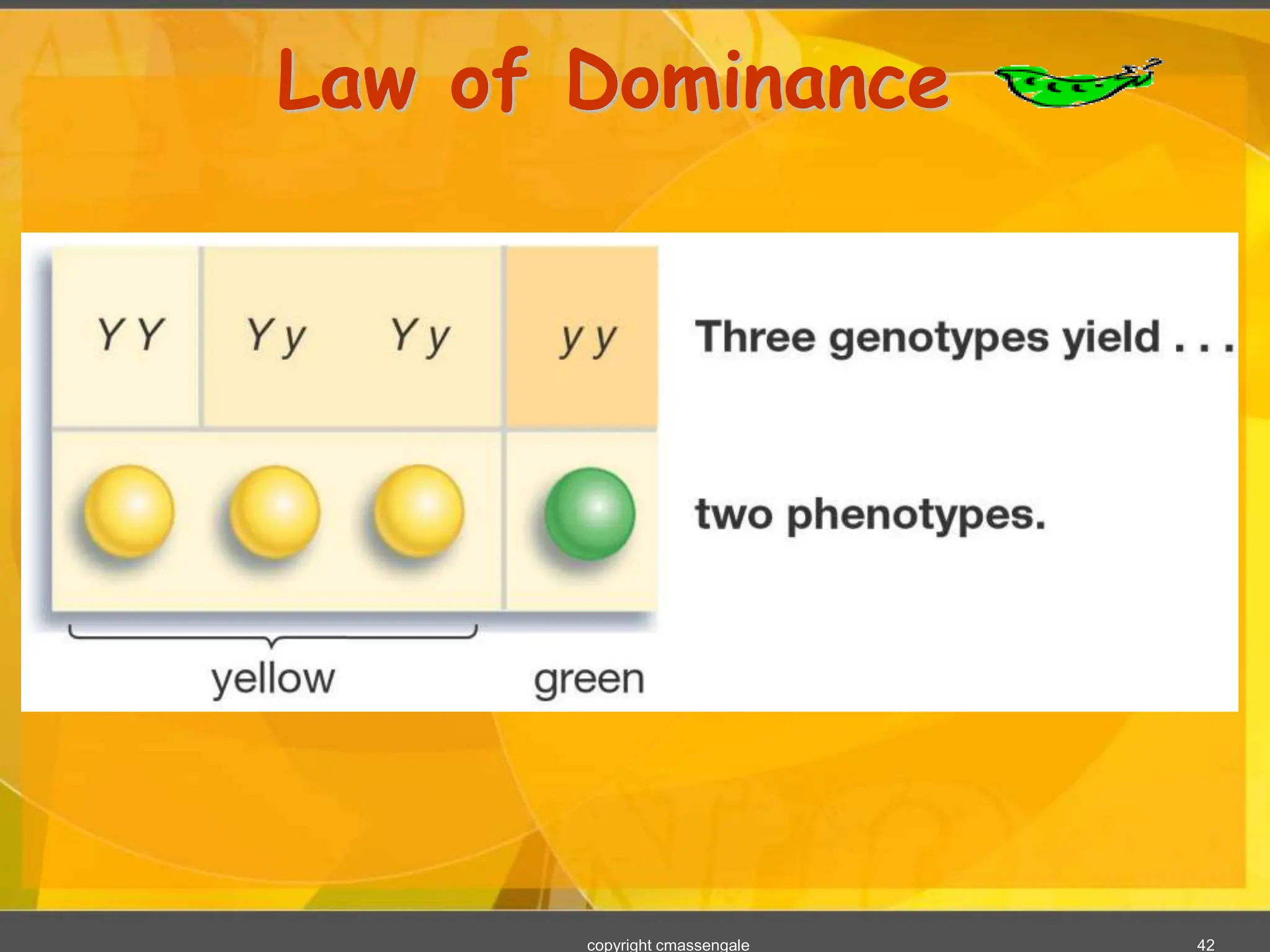 Mendelian_Genetics Variation_and_Inheritance.ppt