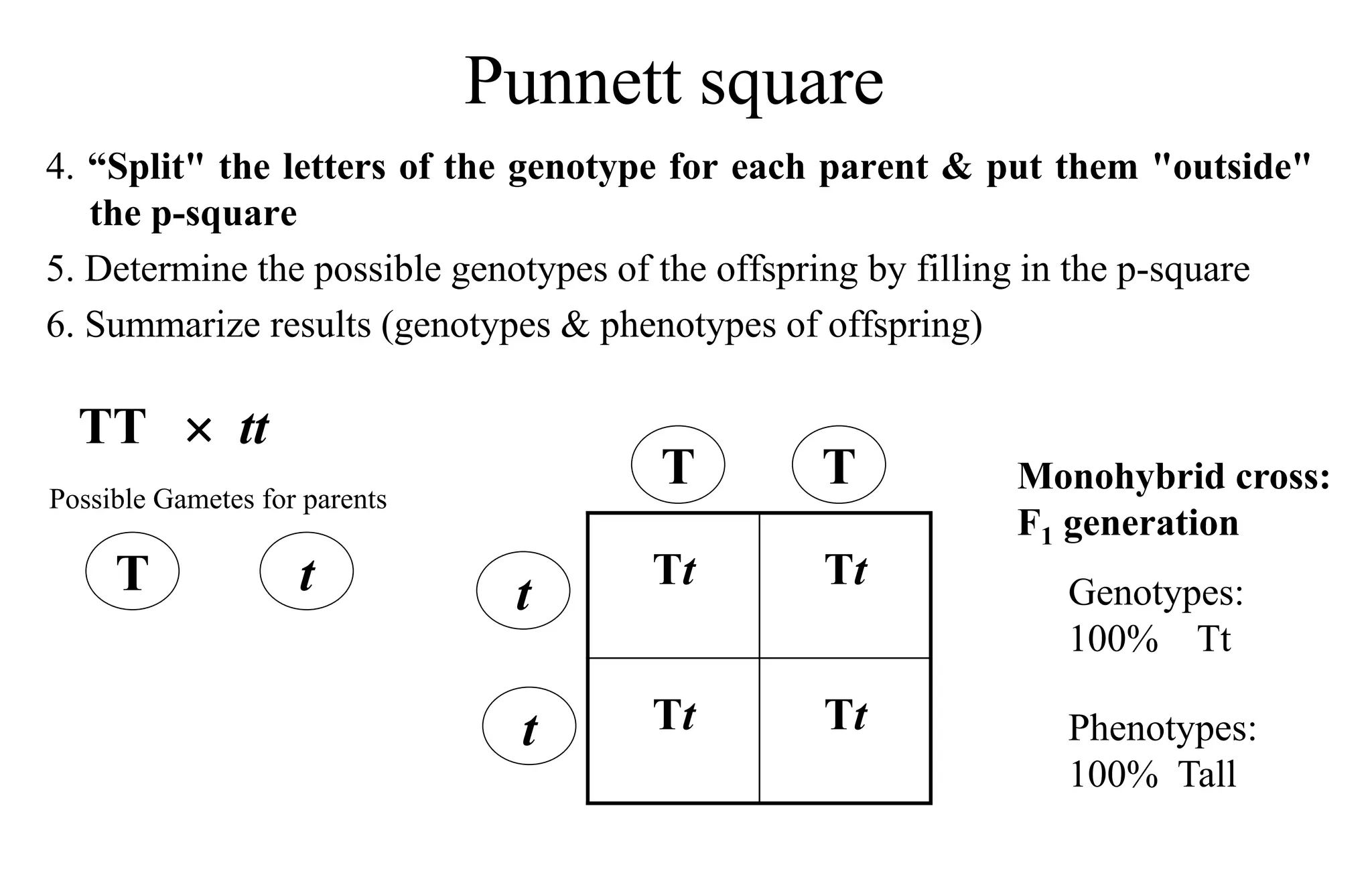 Mendelian genetics - Father of Modern genetics | PPTX