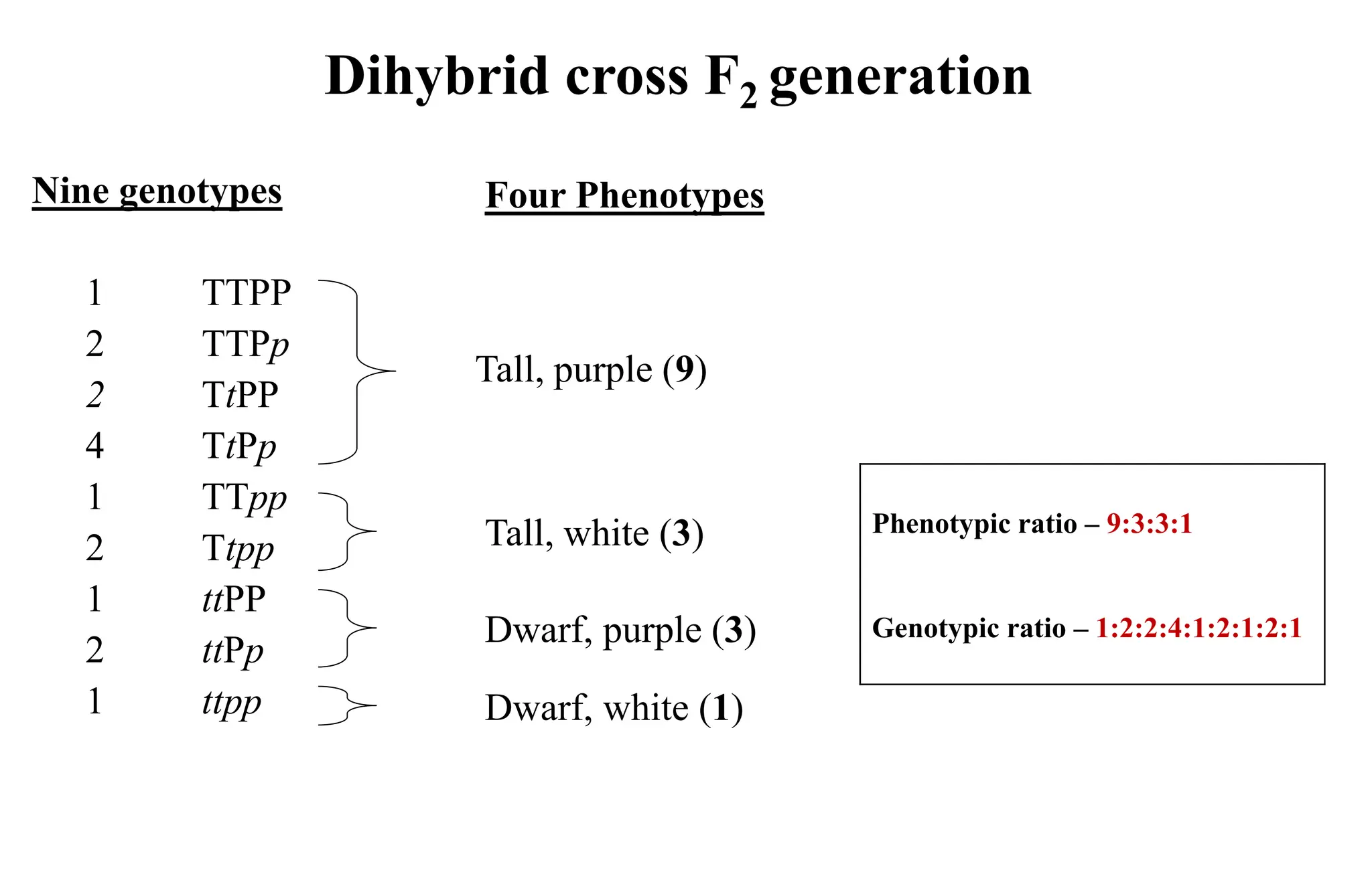 Mendelian genetics - Father of Modern genetics | PPTX