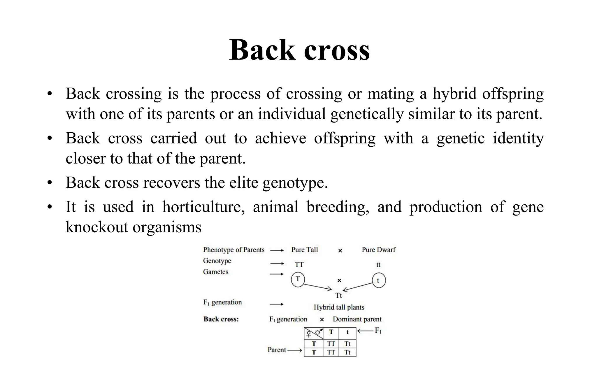 Mendelian genetics - Father of Modern genetics | PPTX