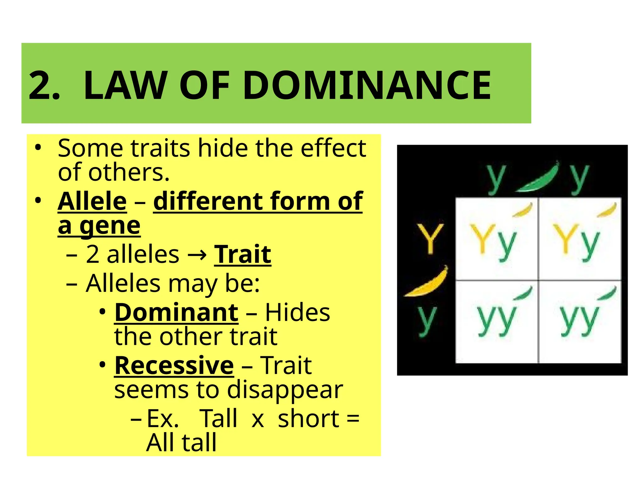 Mendelian Genetics presentation.ppt.pptx