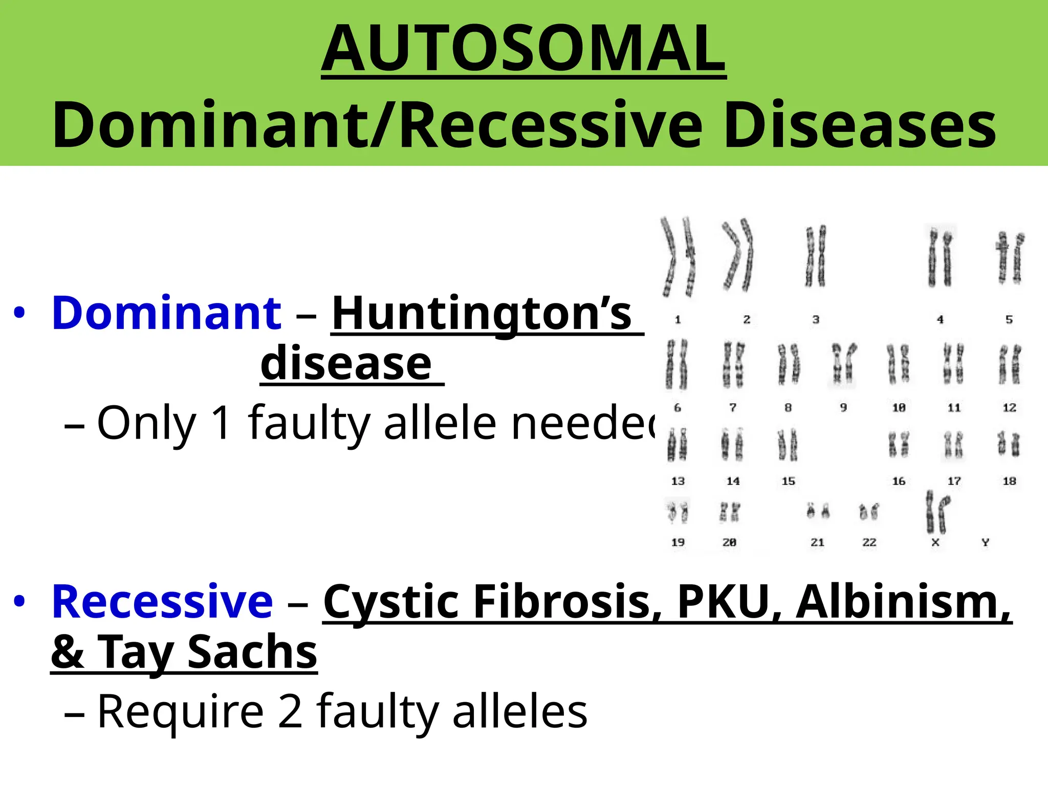 Mendelian Genetics presentation.ppt.pptx