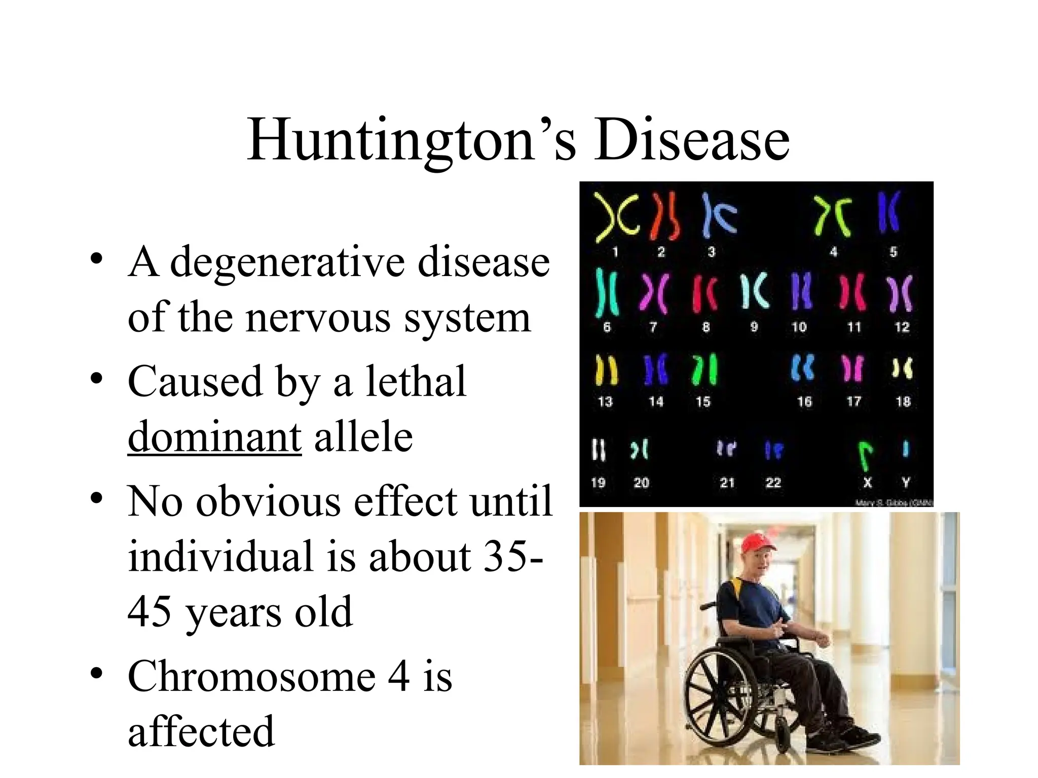 Mendelian Genetics presentation.ppt.pptx