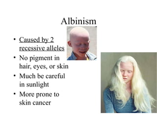 Mendelian Genetics presentation.ppt.pptx