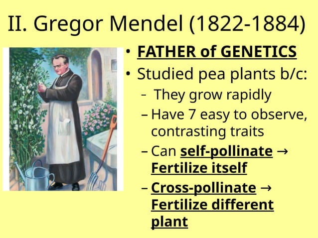 Mendelian Genetics presentation.ppt.pptx