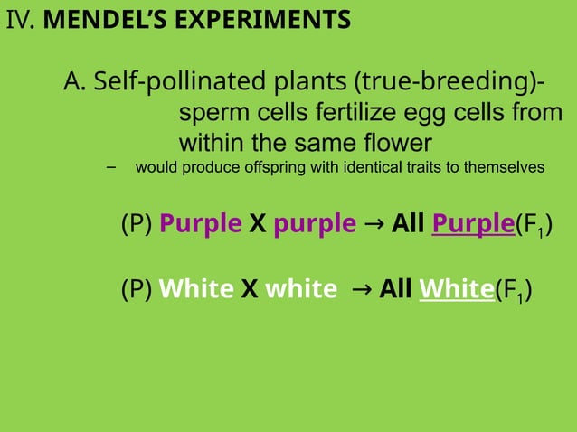 Mendelian Genetics presentation.ppt.pptx