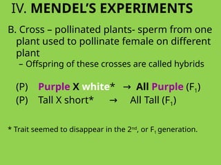 Mendelian Genetics presentation.ppt.pptx
