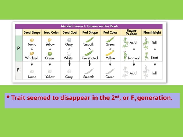 Mendelian Genetics presentation.ppt.pptx