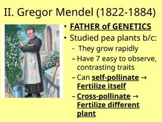 Mendelian Genetics for Science 9.ppt.pptx
