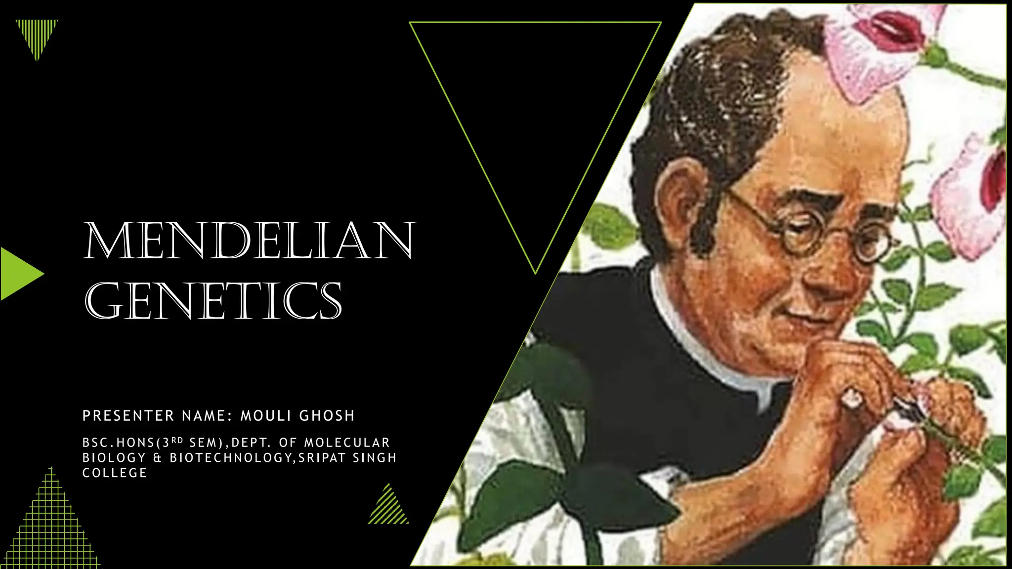 MENDELIAN GENETICS: Unveiling the Principles of Inheritance | PPT