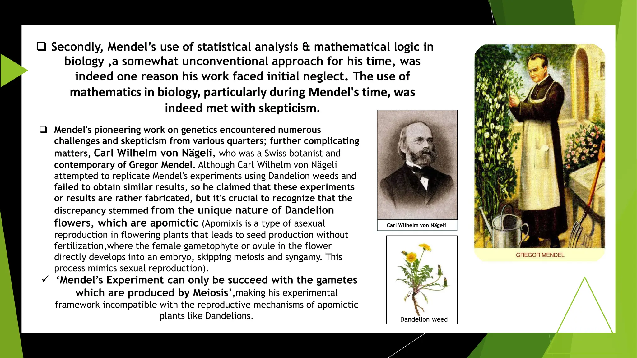 MENDELIAN GENETICS: Unveiling the Principles of Inheritance | PDF
