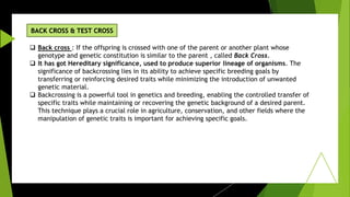 MENDELIAN GENETICS: Unveiling the Principles of Inheritance | PPT