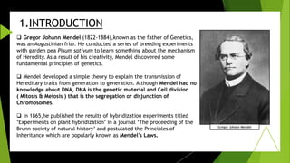 MENDELIAN GENETICS: Unveiling the Principles of Inheritance | PPT