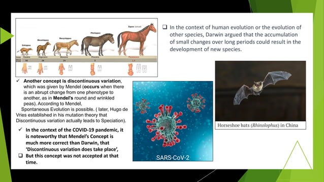 MENDELIAN GENETICS: Unveiling the Principles of Inheritance | PPT