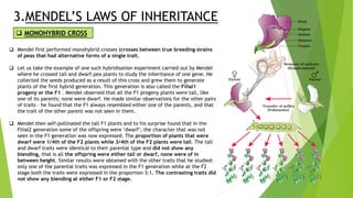 MENDELIAN GENETICS: Unveiling the Principles of Inheritance | PPT